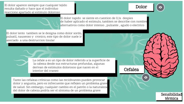 Diferencias de cefalea, dolor y sensibilidad térmica | Genially