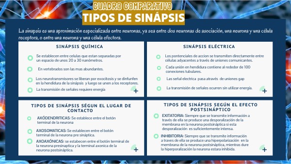 CUADROCOMPARATIVO TIPOS DE SINAPSIS | Genially