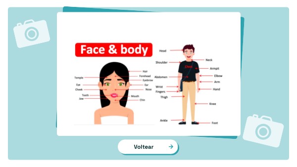 THE BODY AND FACE | Genially