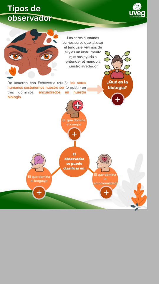 TCE_U2_L4_Infografia | Genially