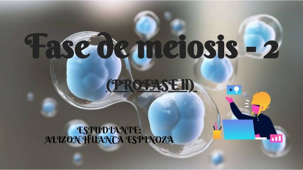 Presentación. Meiosis profase 2