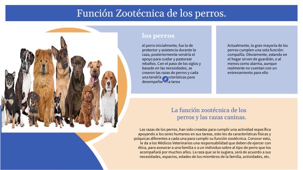 zootecnica | Genially