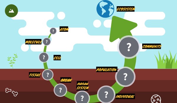 Alexa sandoval | Genially