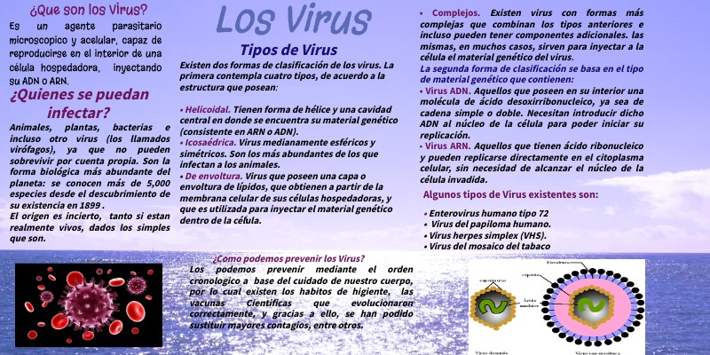 Infografía: Los Virus | Genially
