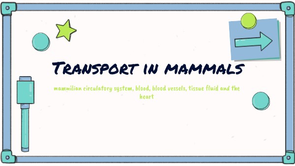 Transport in mammals