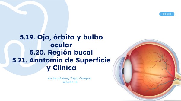 Ojo, órbita y bulbo ocular, Región bucal, Anatomía Superficie y Clínic