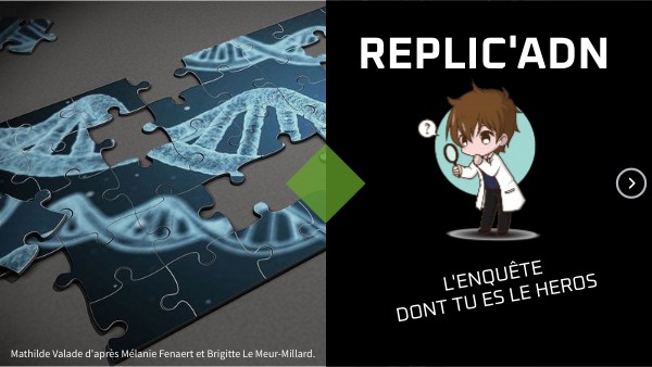 1 ere Spe Réplication de l'ADN