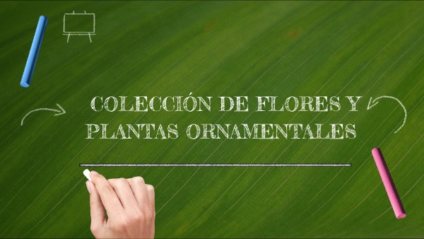 COLECCIÓN DE FLORES | Genially