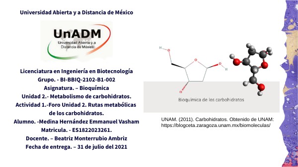 Rutas metabólicas de los carbohidratos | Genially