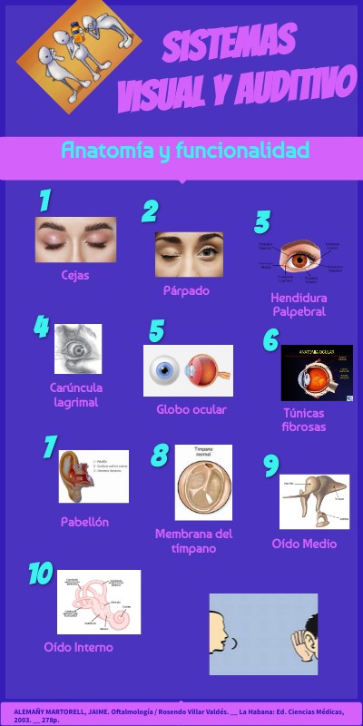 Sistemas: Visual y Auditivo | Genially