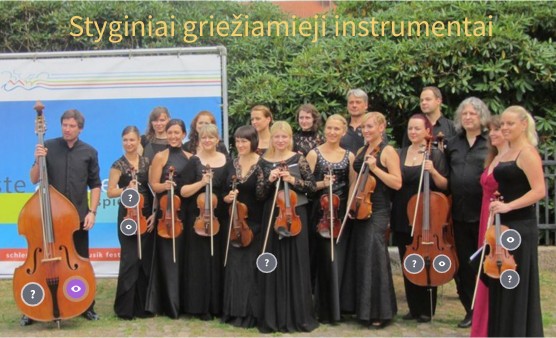 Styginiai instrumentai | Genially