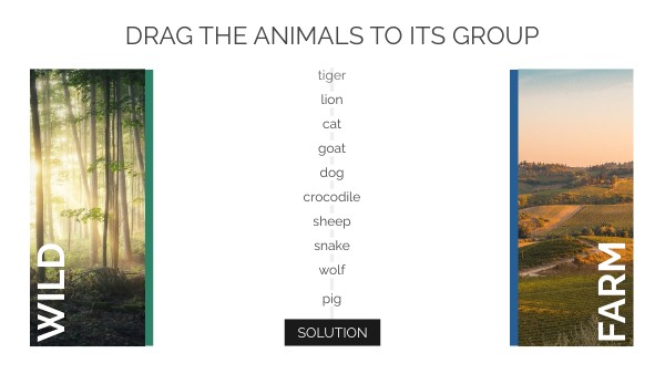 Animal groups