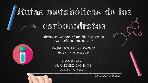 Rutas metabólicas de los carbohidratos