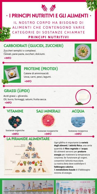 PRINCIPI NUTRITIVI | Genially
