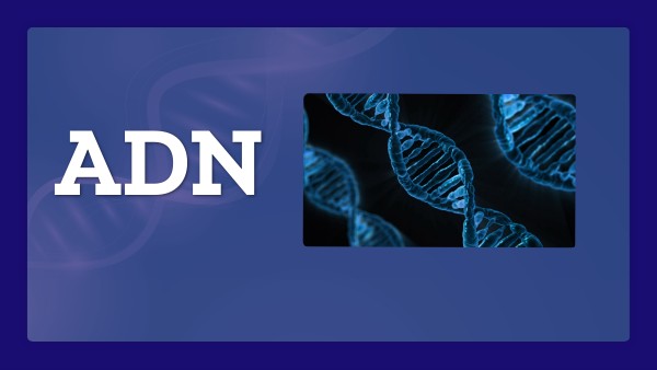 PRESENTACIÓN MEDICINA ADN