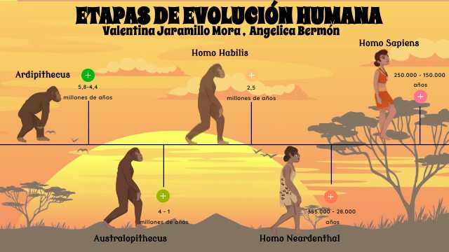 ETAPAS DE EVOLUCIÓN HUMANA | Genially