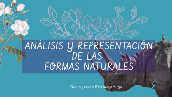Análisis y representación de formas naturales | Genially