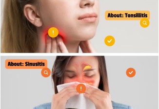 Respiratory physiology | Genially