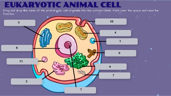 Cell diagrams