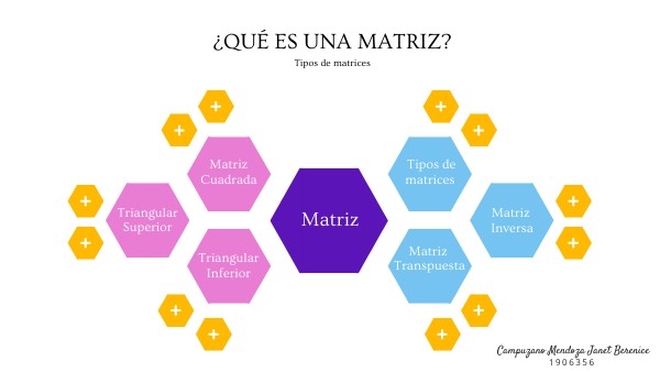 Tipos de matrices | Genially