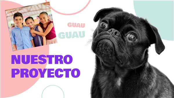 Proyecto PET ICE CREAM | Genially