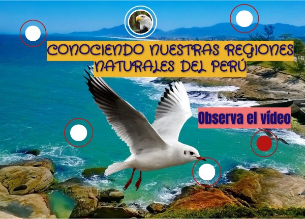 NATURE INTERACTIVE IMAGE