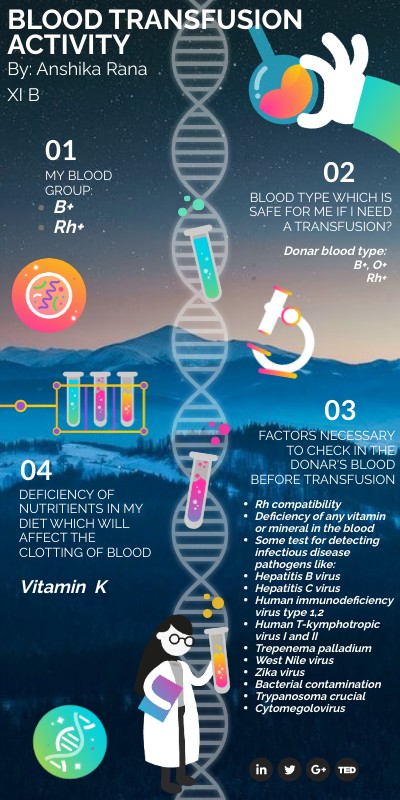 BIOLOGY VIBRANT TIMELINE