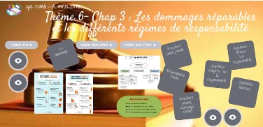 Spe Droit TSTMG - Thème 6