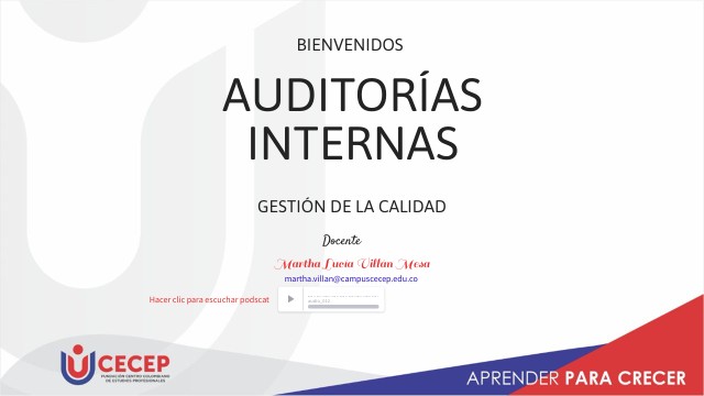 Clase Auditoria Interna