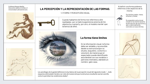 FORMA Y PERCEPCIÓN VISUAL