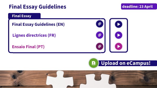 Final Essay Guidelines - GOV 2023