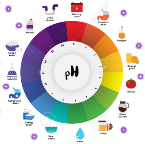 indicadores de pH | Genially