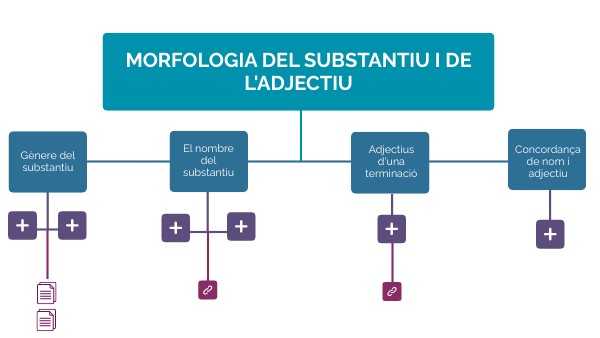 Morfologia substantiu i adjectiu | Genially