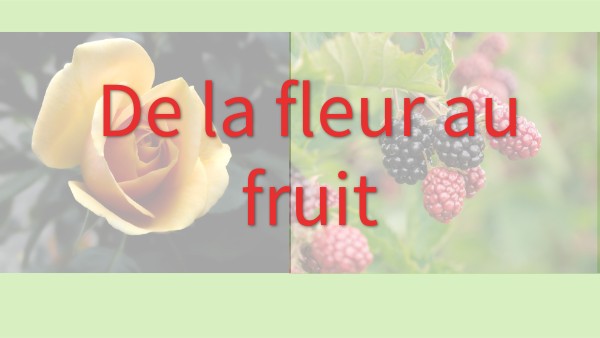 De la fleur au fruit
