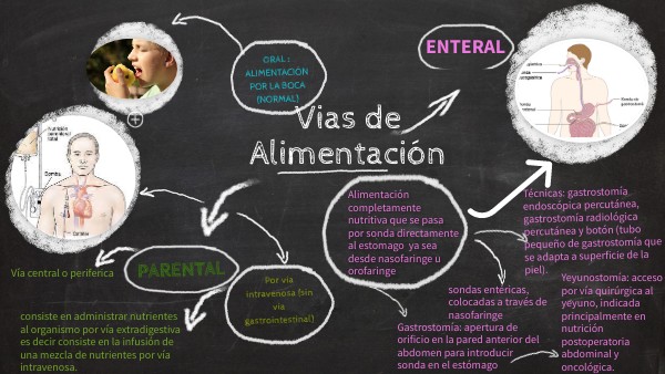Alimentación enteral y parenteral | Genially