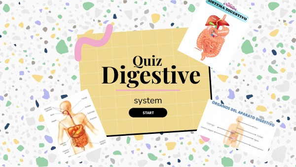 quiz digestive system | Genially