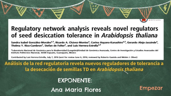 ARTICULO 3, ANA M. FLORES