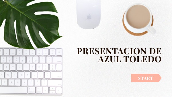 AZUL'S PRESENTATION
