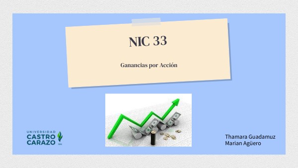 NIC 33