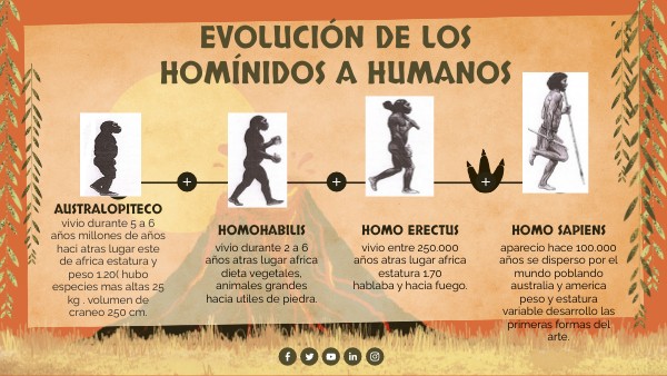Evolución de los homínidos a humanos. | Genially