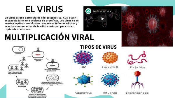 virus