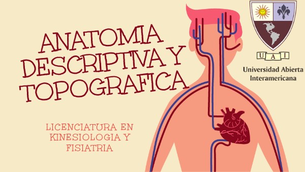 ANATOMIA | Genially