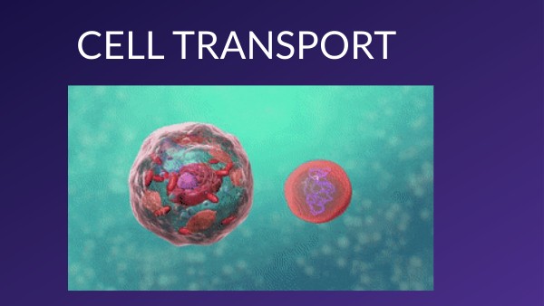 CELL TRANSPORT
