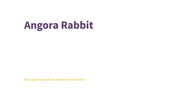 Rabbit Project