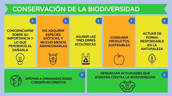 CONSERVACIÓN DE LA BIODIVERSIDAD | Genially