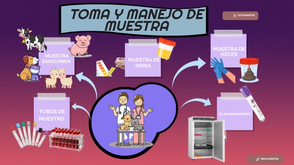 TOMA Y MANEJO DE MUESTRA | Genially