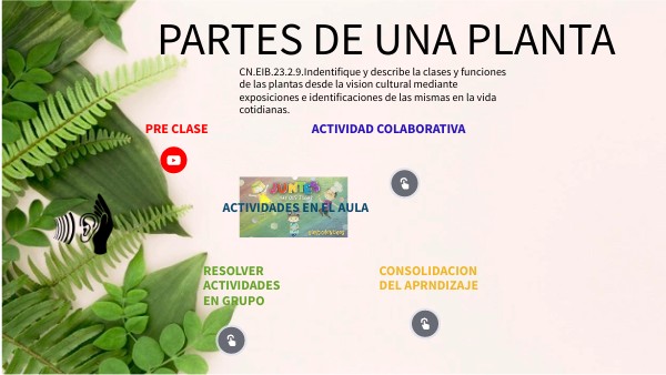 las partes de una planta | Genially