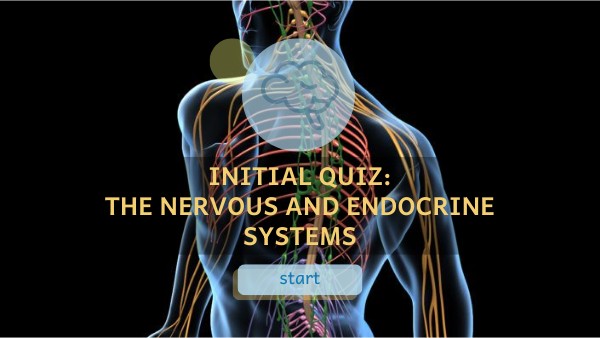 Initial quiz: The nervous and endocrine systems