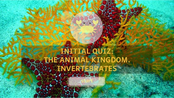Initial quiz: The animal kingdom. Invertebrates | Genially