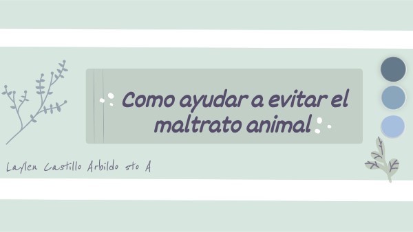 //Como ayudar a evitar el maltrato animal// Laylen Castillo Arbildo ...